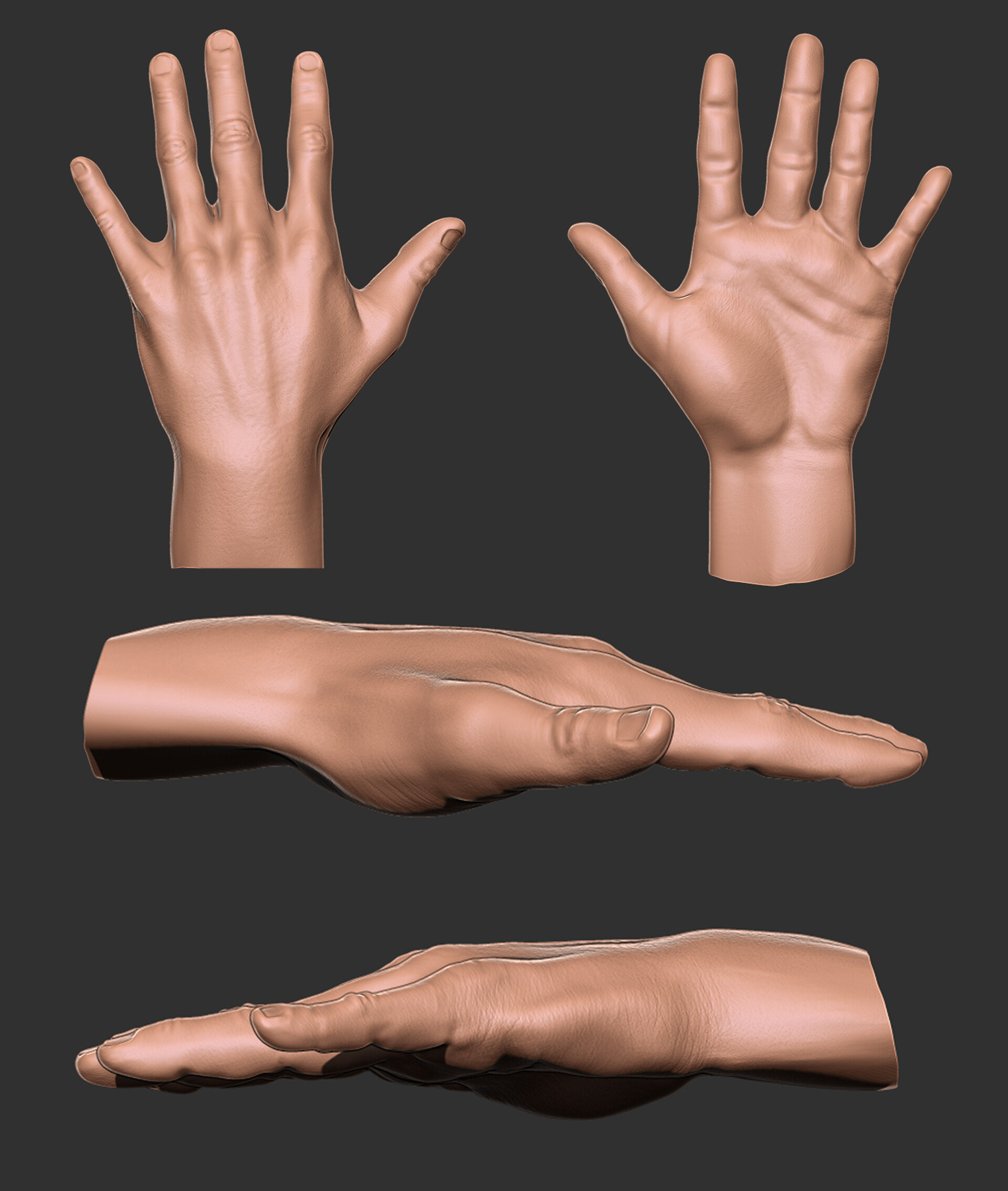 ArtStation - Hand Sculpt Study