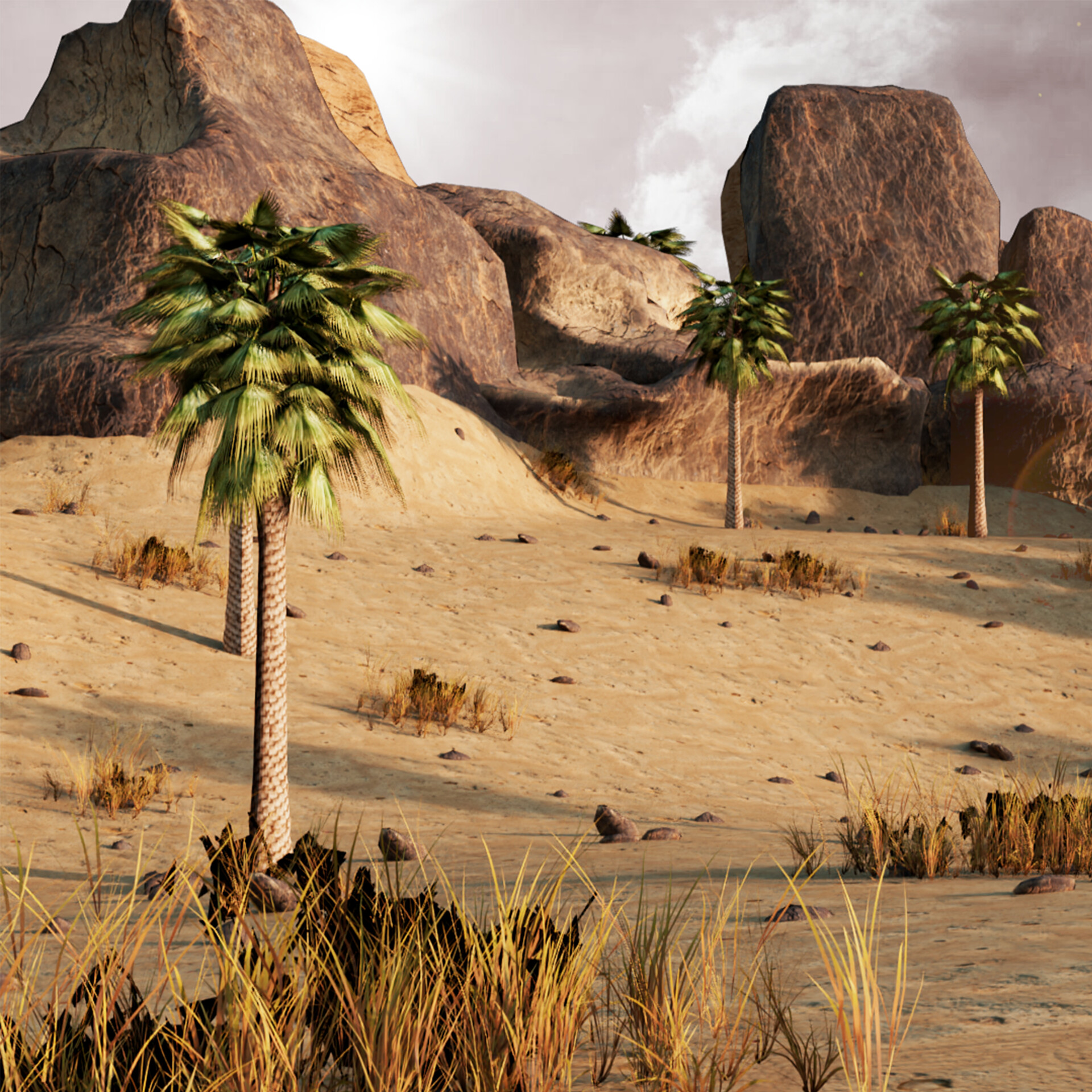 ArtStation - 3D Desert Scene