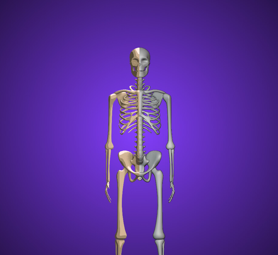 ArtStation - Skeleton 3D, 2D style for fighting game