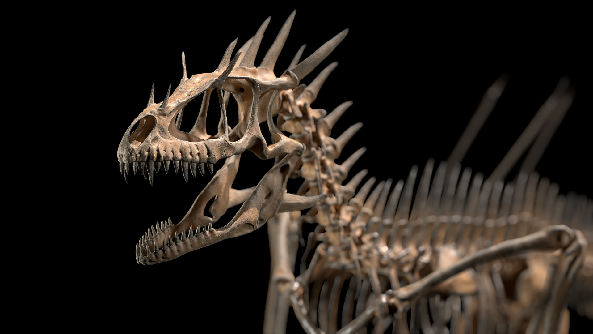 ArtStation - Dragon skeleton WIP