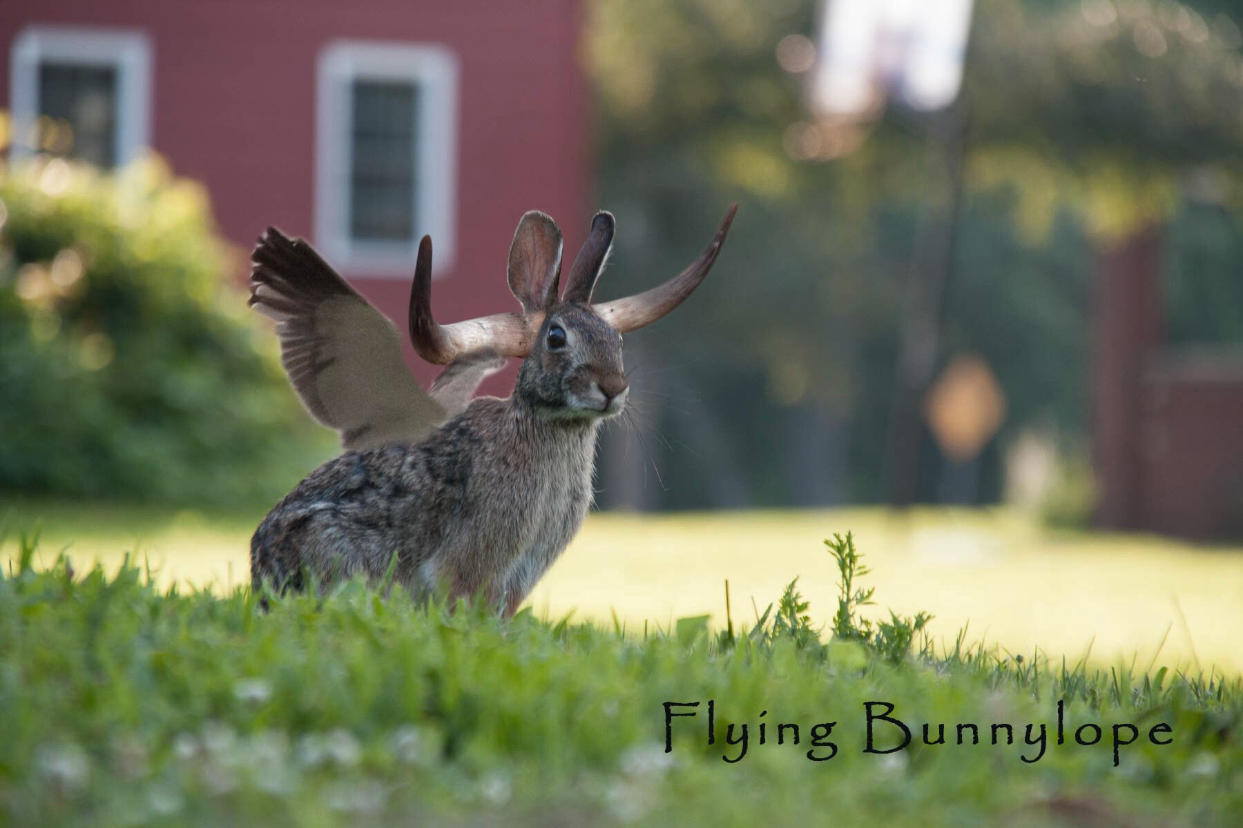 ArtStation - photoshop project 3