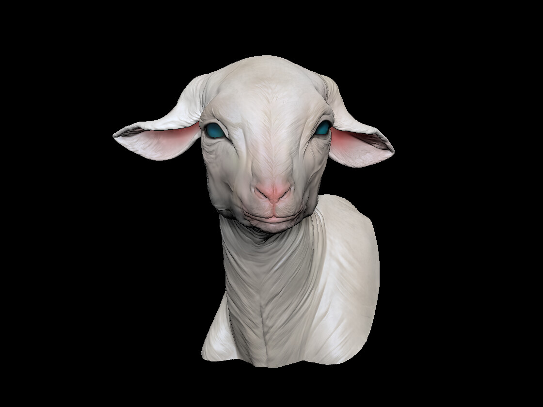 ArtStation - Sheep
