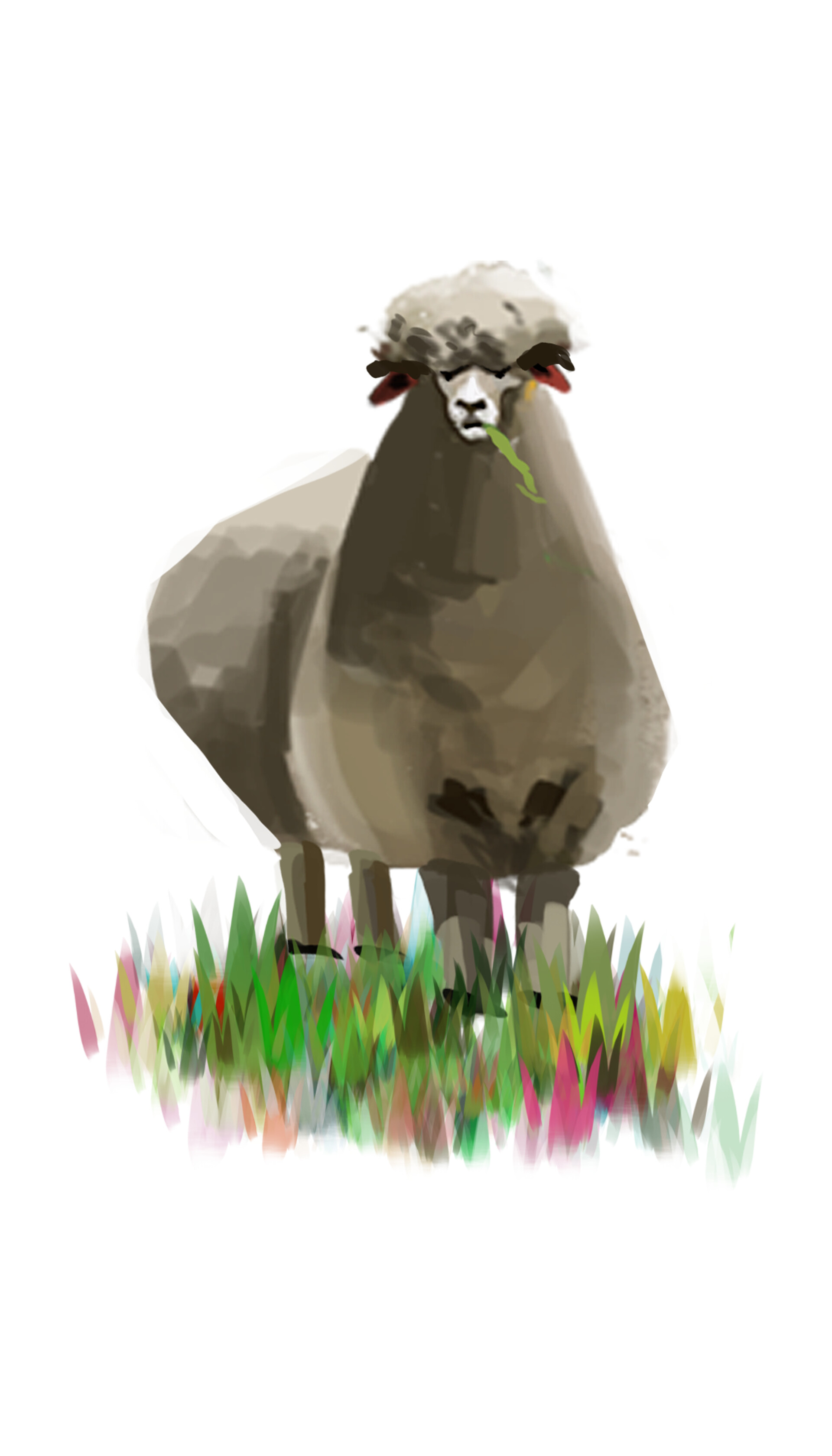 ArtStation - sheep characters design
