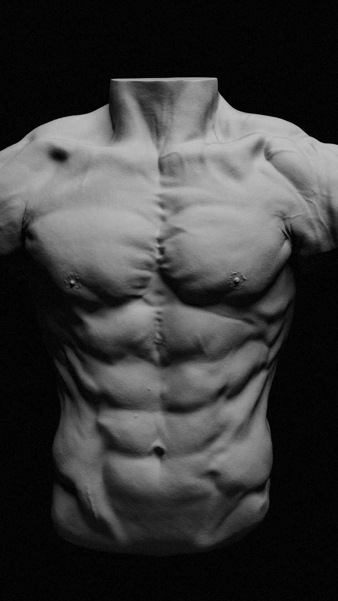 ArtStation - Anatomy Study - Male Torso