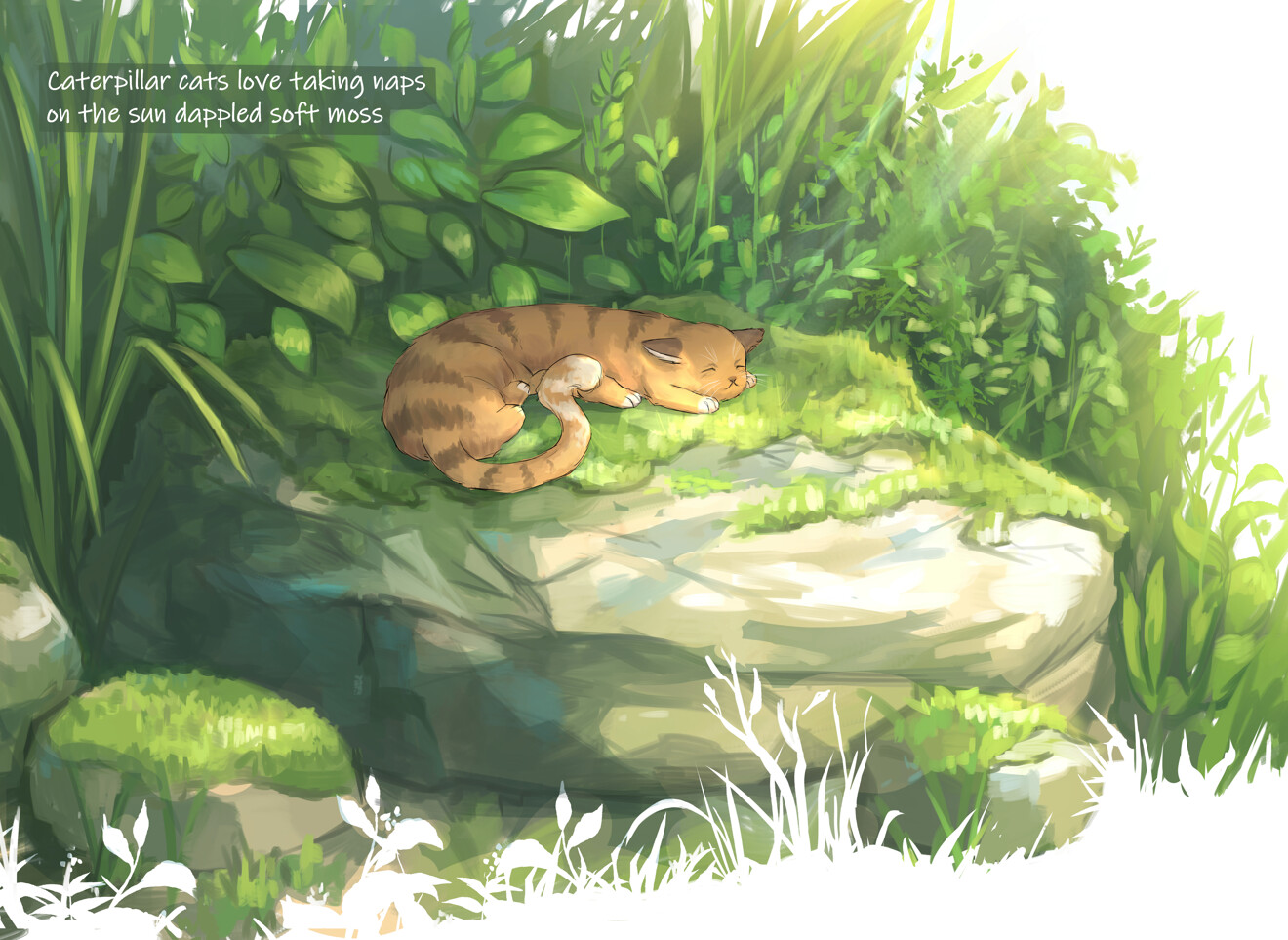 ArtStation - Caterpillar cat animation :3