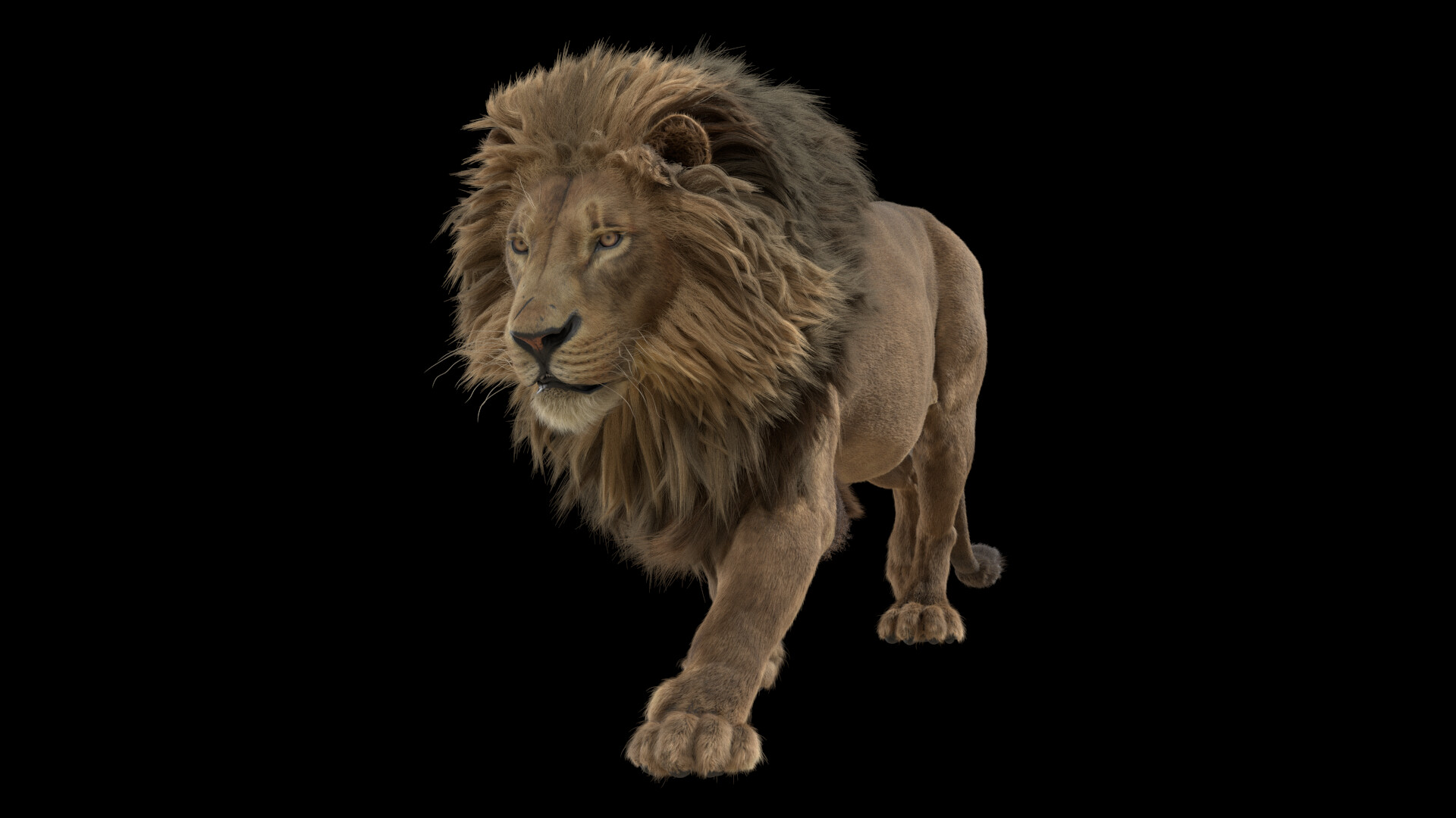 ArtStation - Grooming Exercise - Houdini / Lion