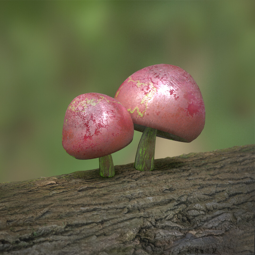 ArtStation - Concept: Mushroom Boletus