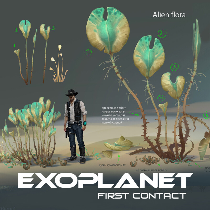 ArtStation - Desert flora