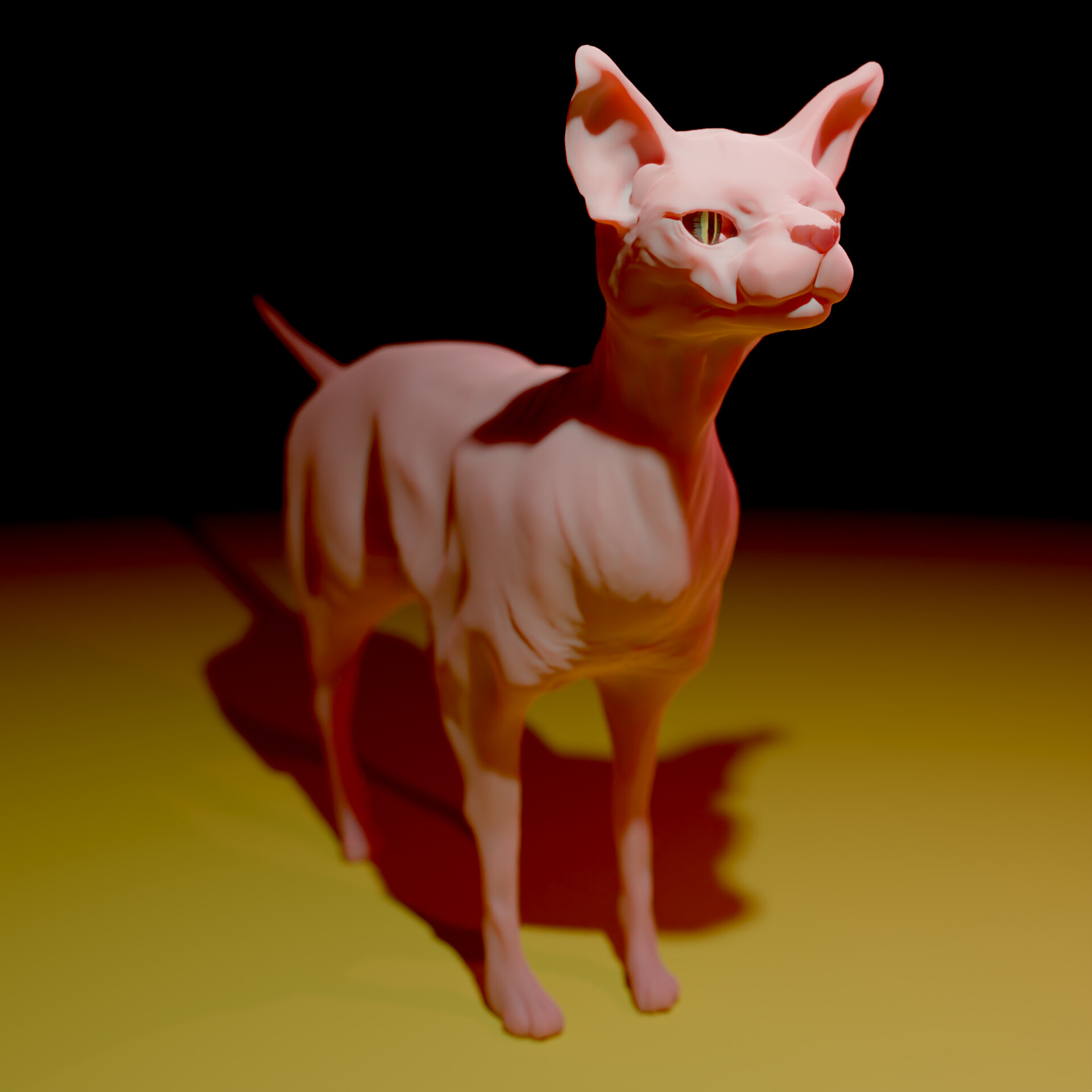 ArtStation - Sphynx cat sculpt 3D model