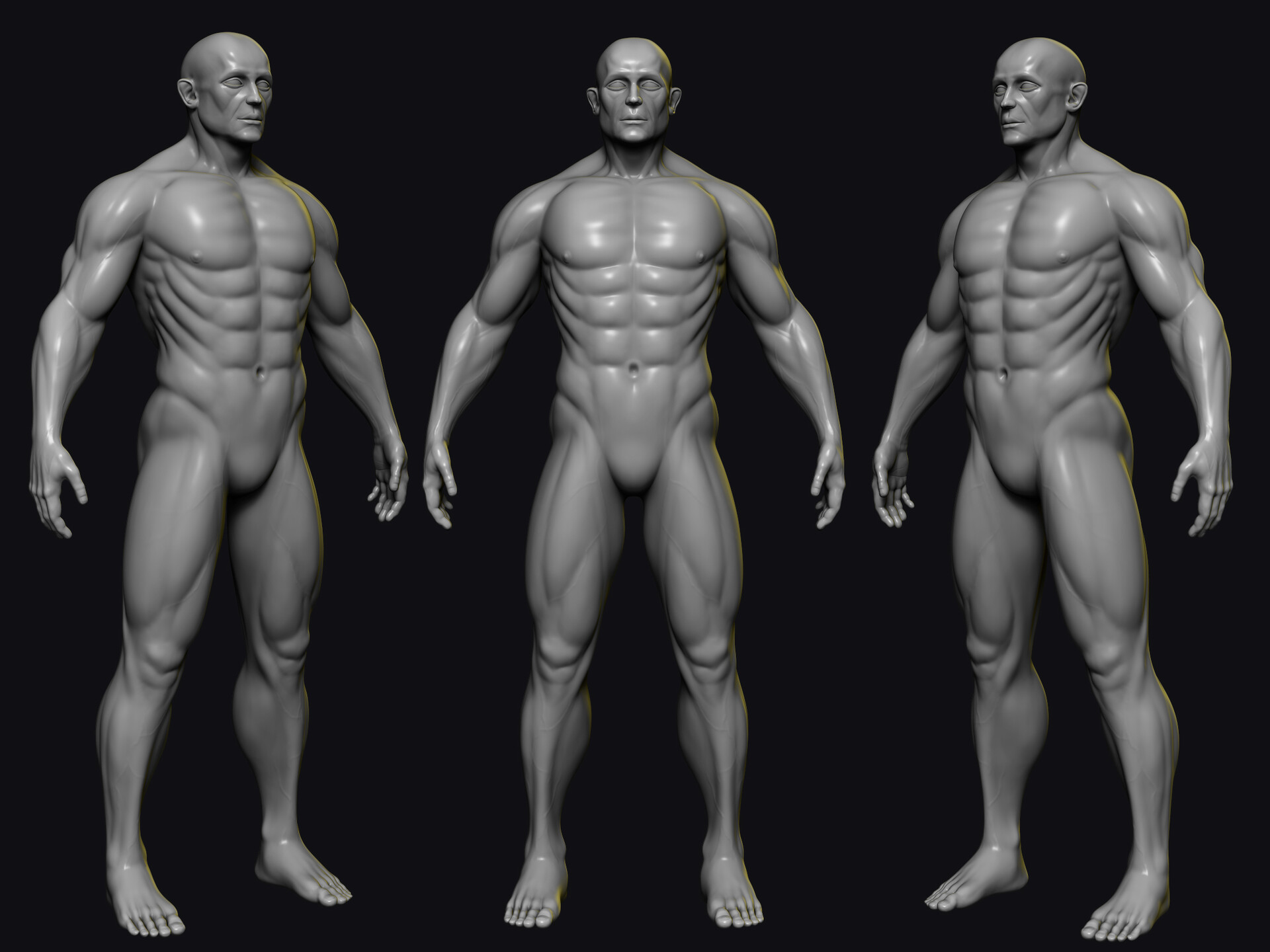 ArtStation - Male Anatomy Study