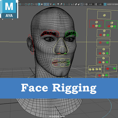 ArtStation - Face Rigging