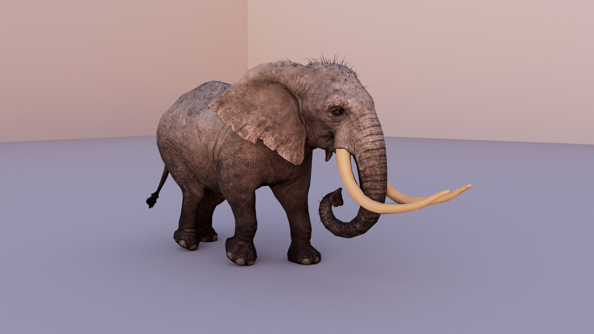 ArtStation - Elephant Walk Cycle