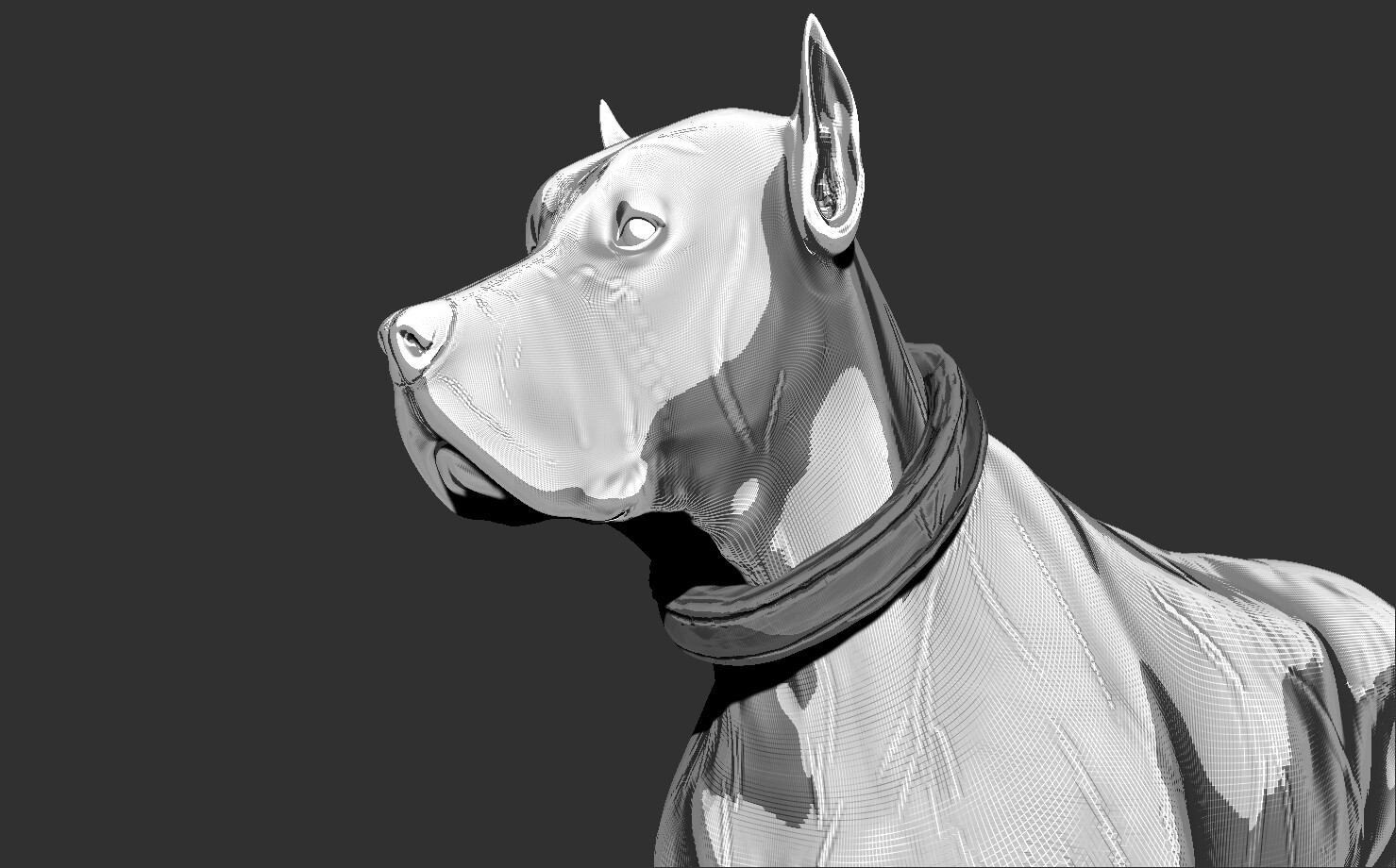 ArtStation - "Cane Corso"