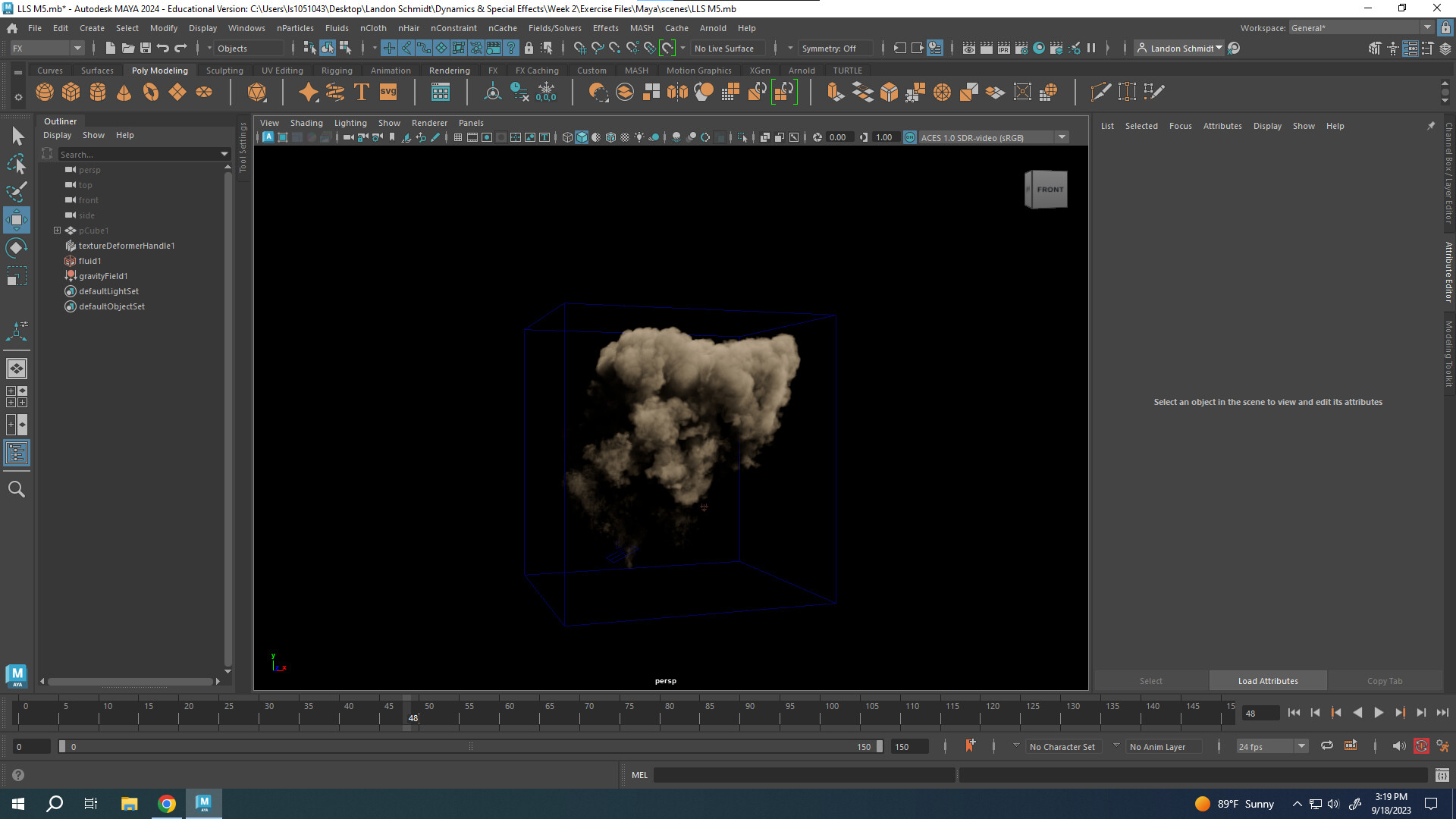 ArtStation - Dynamics & Special Effects: Maya Fluid Fundamentals (Week 2)