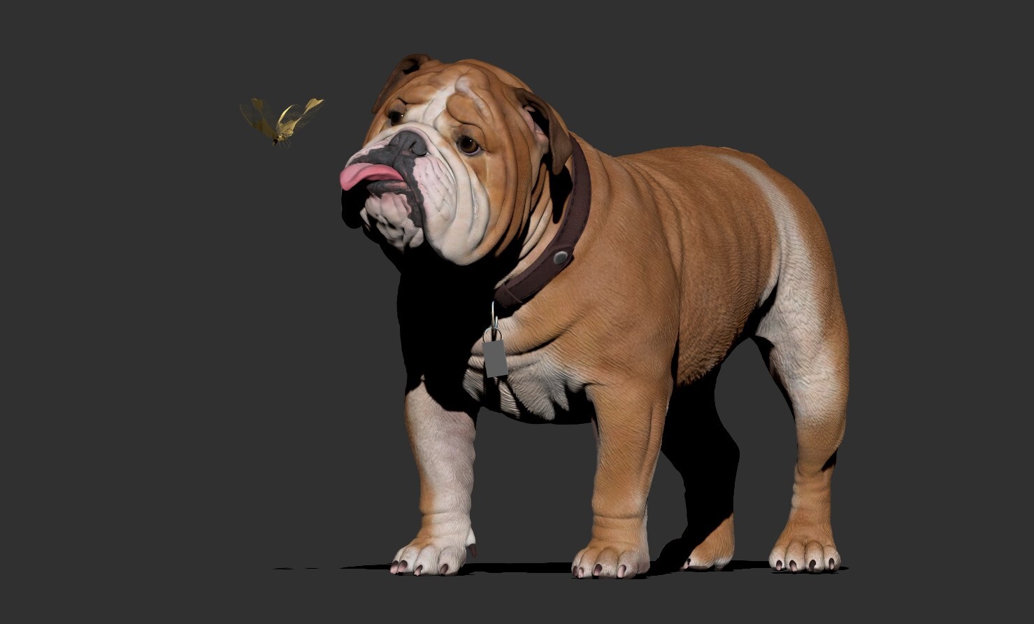 Sandeep Grover - My Love towards Animals