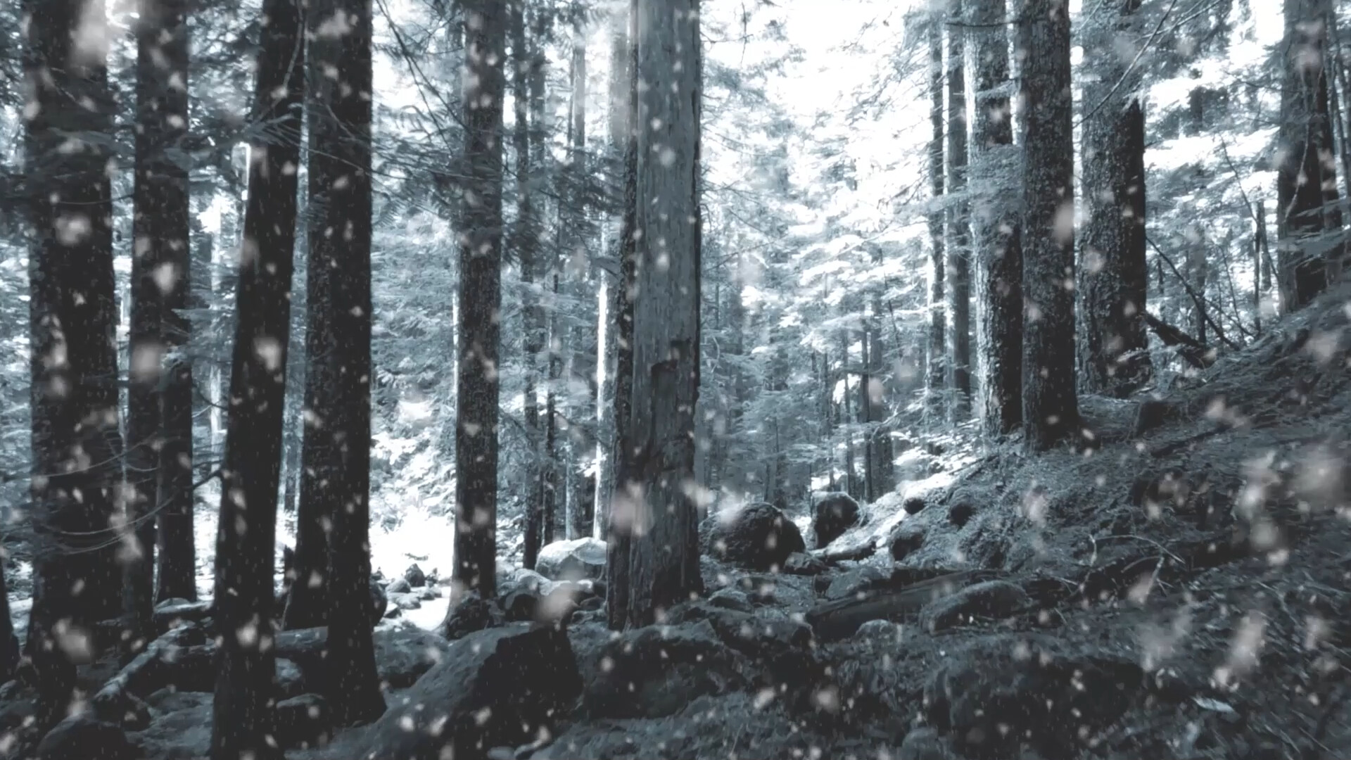 ArtStation - Vfx composition of fake snow