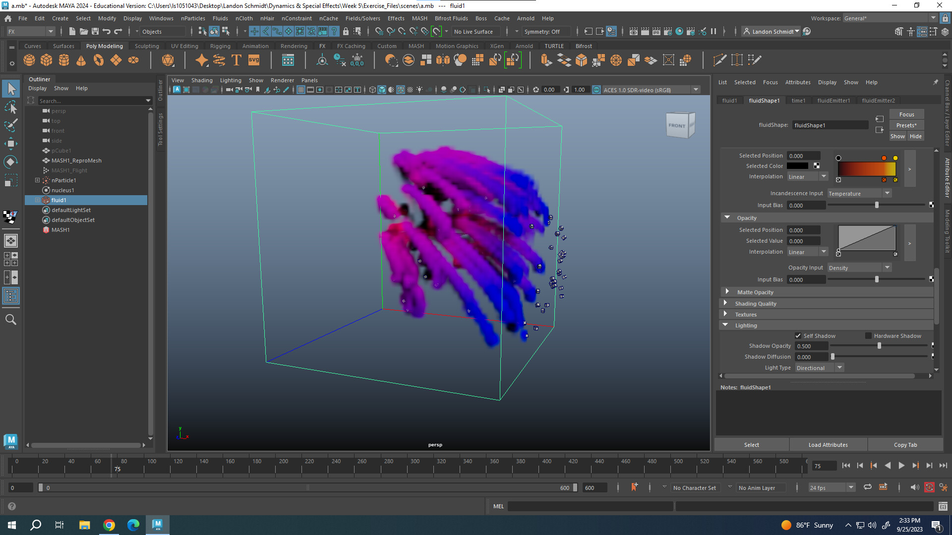 ArtStation - Dynamics & Special Effects: Motion Graphics Workflow with MASH (Week 5)