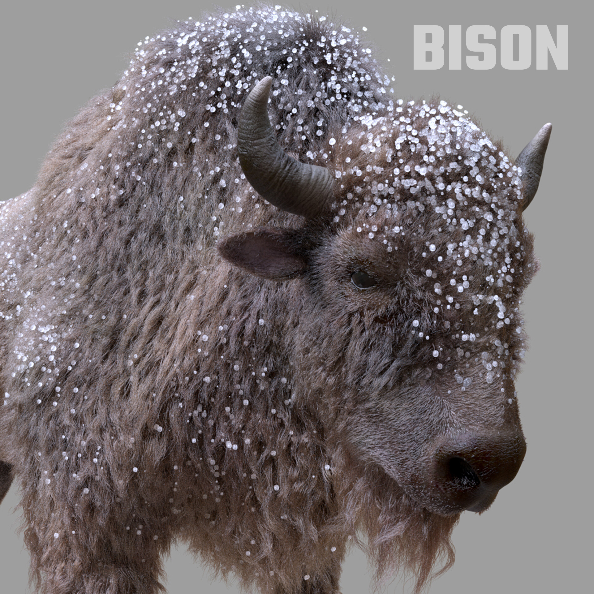 ArtStation - Bison Grooming