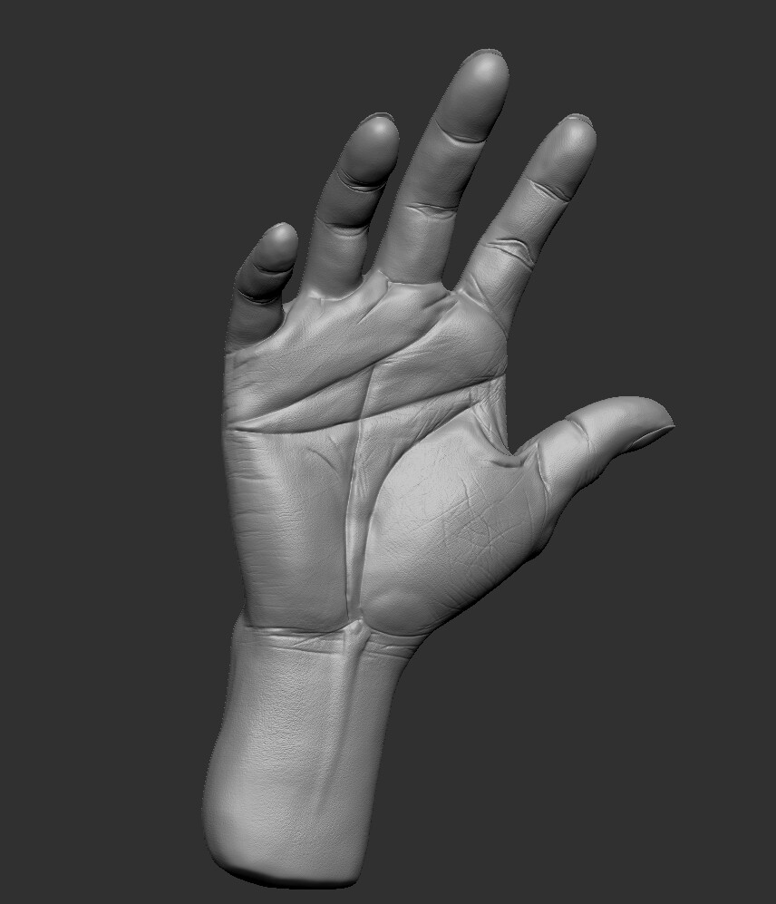 ArtStation - Hand Sculpt