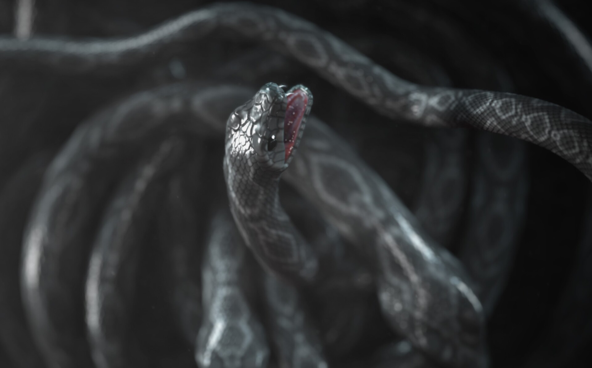 ArtStation - BBC Ofidiofobia