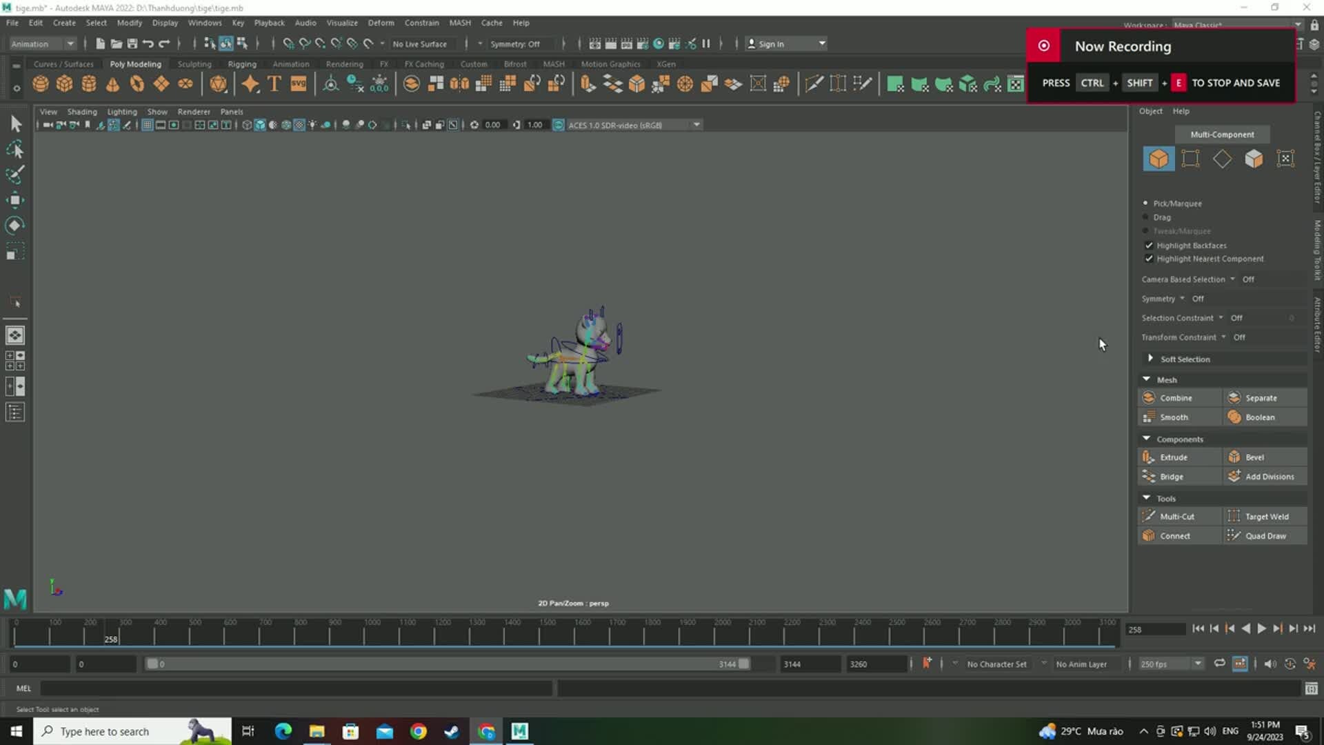 ArtStation - Rig + Animation