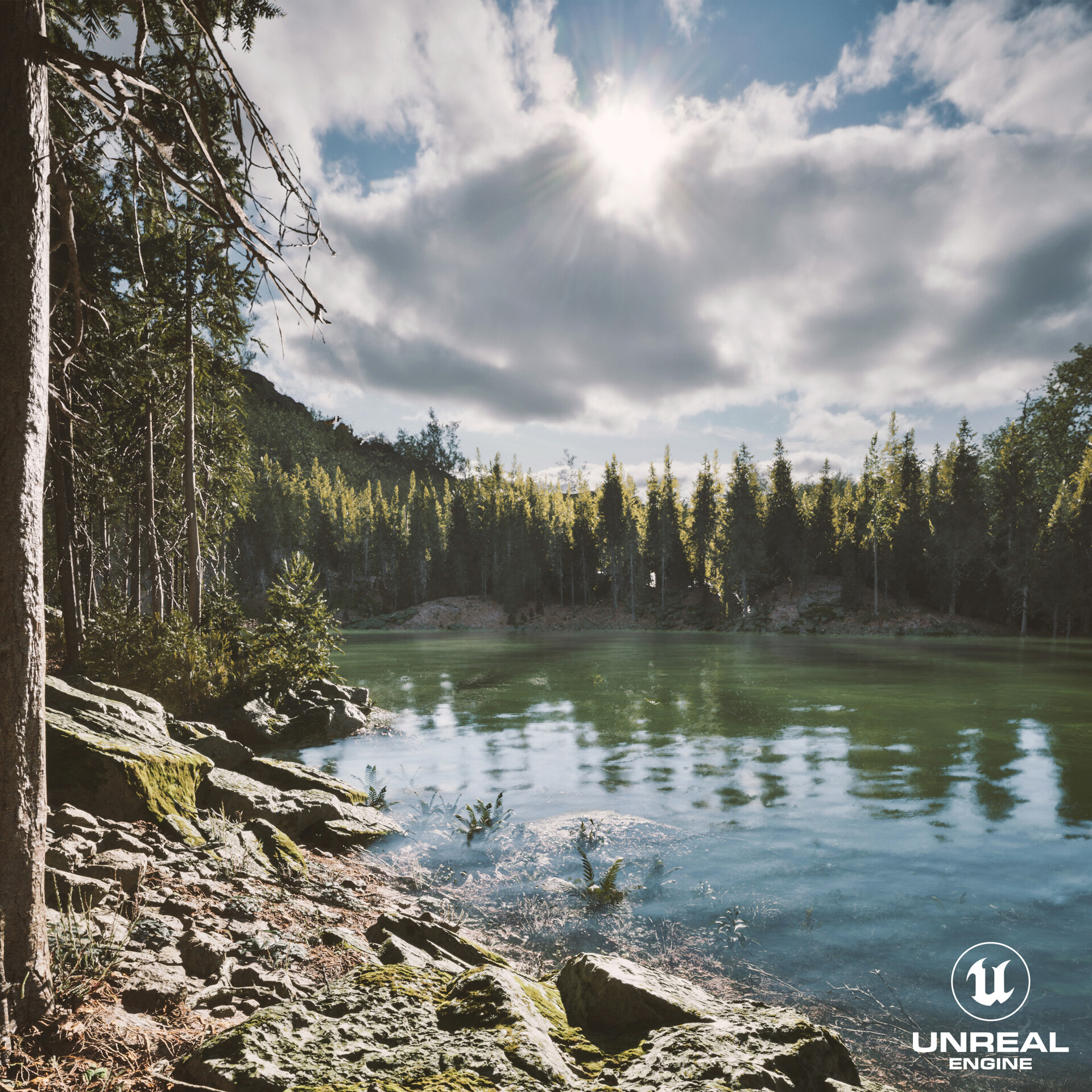 Pasquale Scionti - New mood gameplay Dark Forest Unreal Engine 5.2 Lumen Nanite Quixel