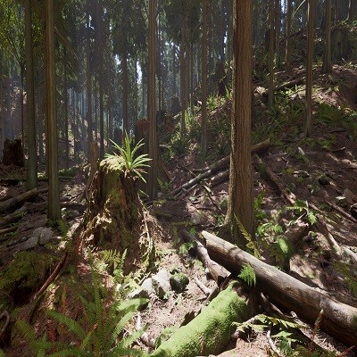 ArtStation - Photogrammetry Forest Pack
