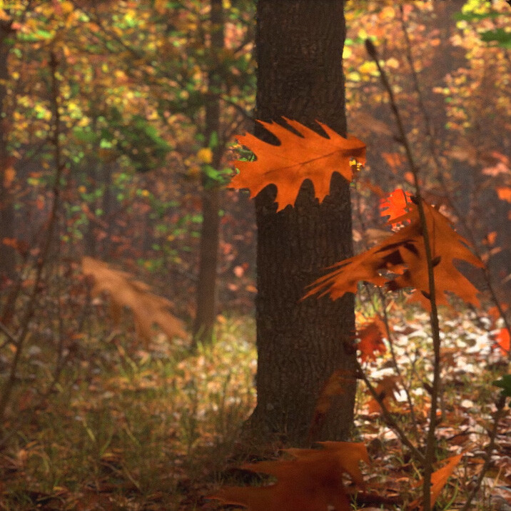 ArtStation - Where the light shines #2 (Forest in movement)