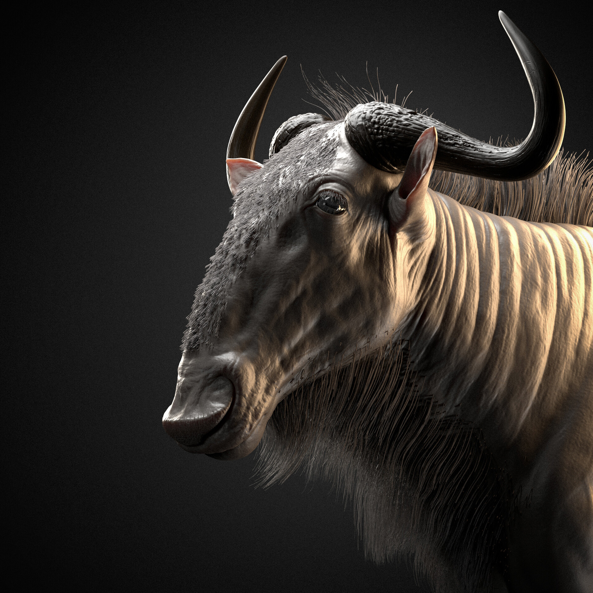 ArtStation - Wildebeest_sculpt