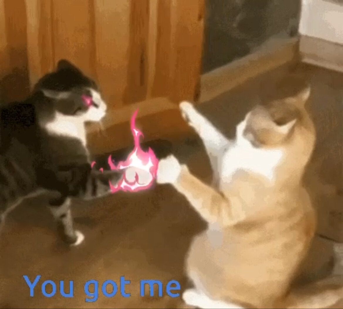 ArtStation - Fireball Cats