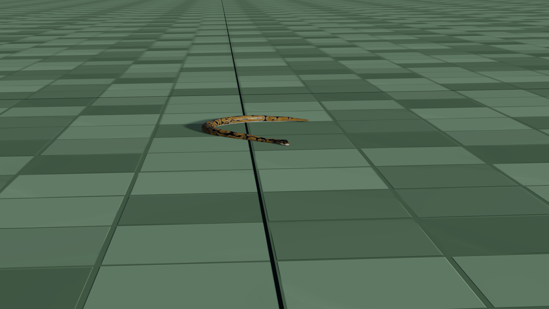 ArtStation - Snake Crawling Cycle