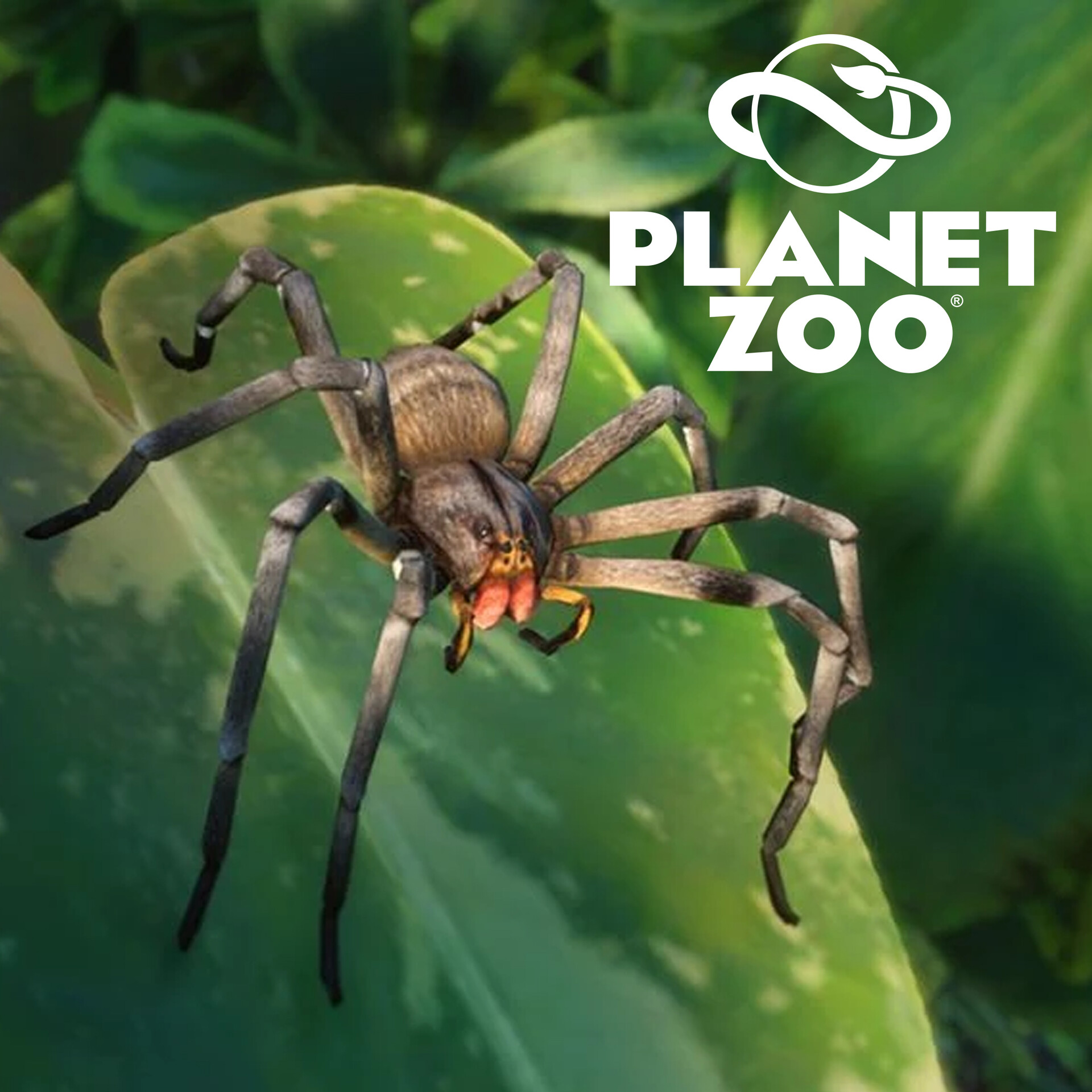 ArtStation - Spiders