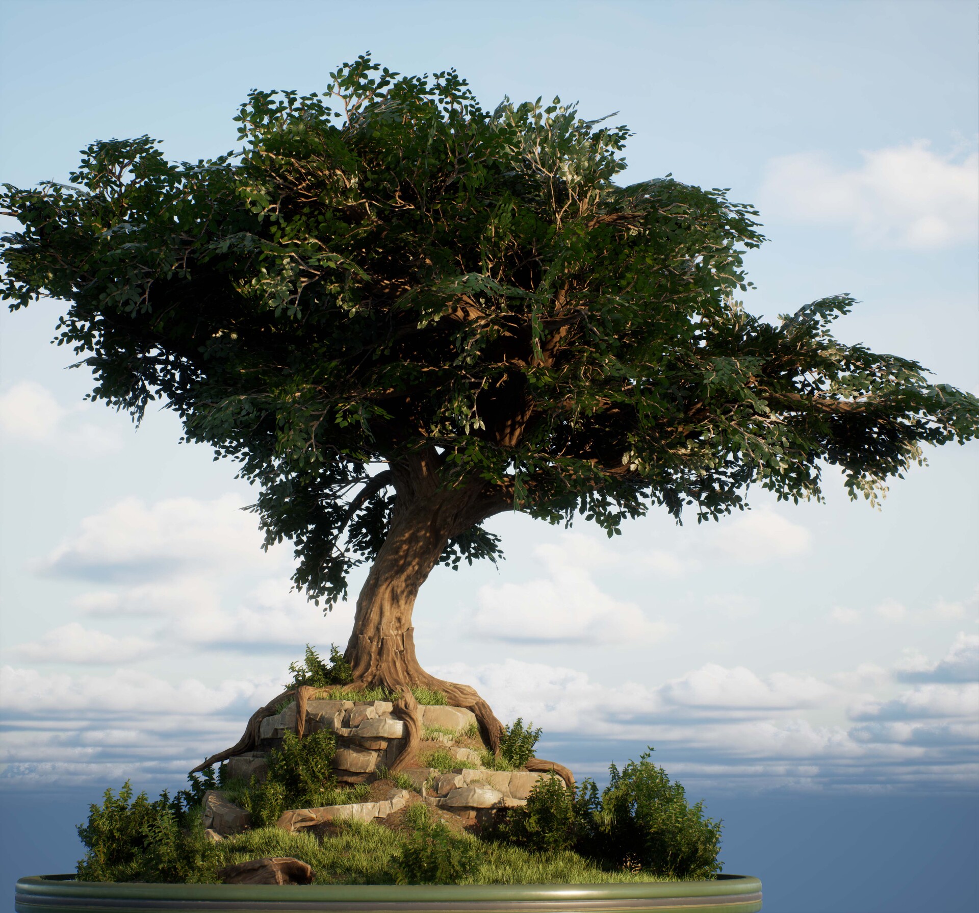 ArtStation - Tree, Foliage and rock study