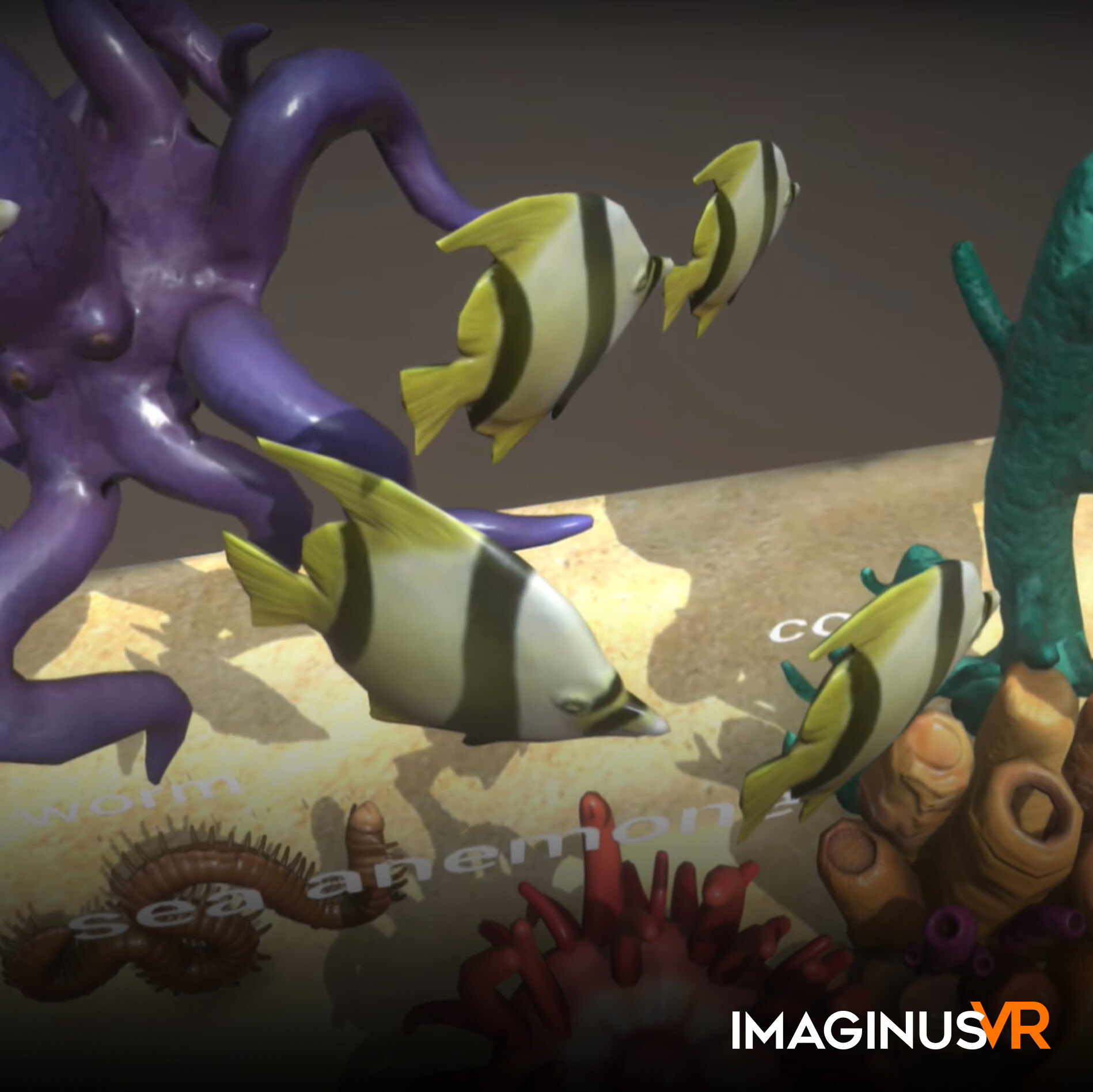 ArtStation - NGSS: Coral Reef Ecosystem