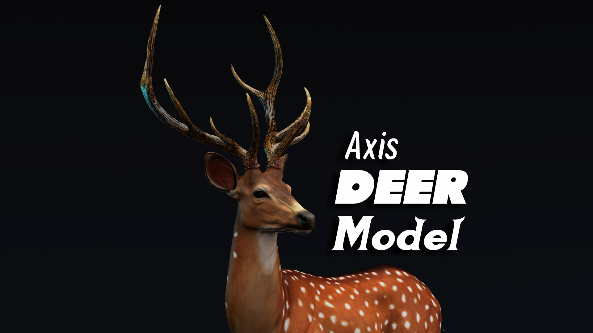 ArtStation - axis Deer