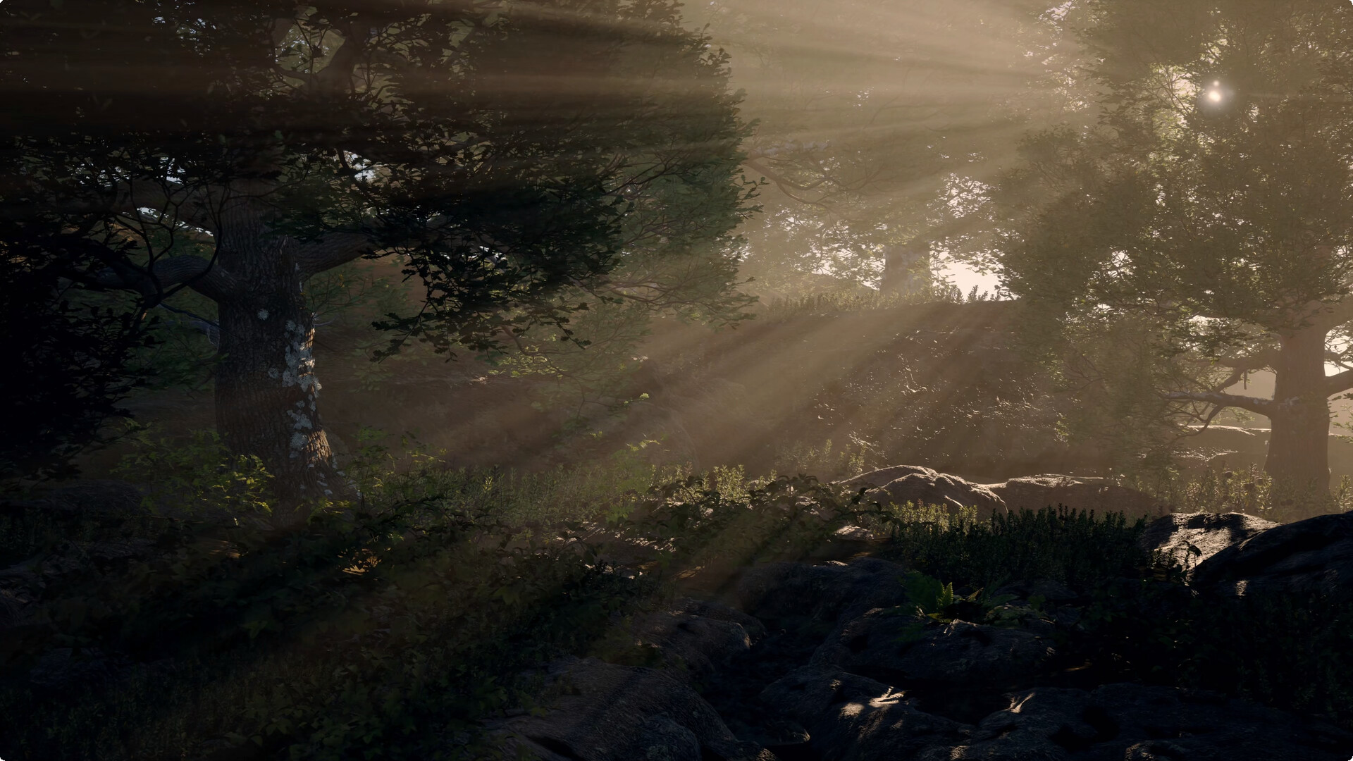 ArtStation - Old Oak Trail