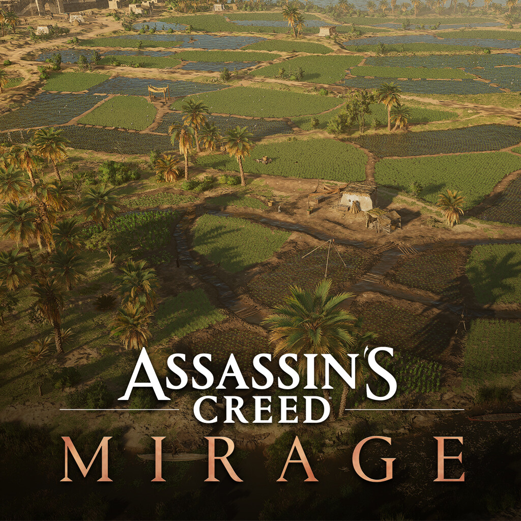 ArtStation - Assassin's Creed Mirage - Rice fields