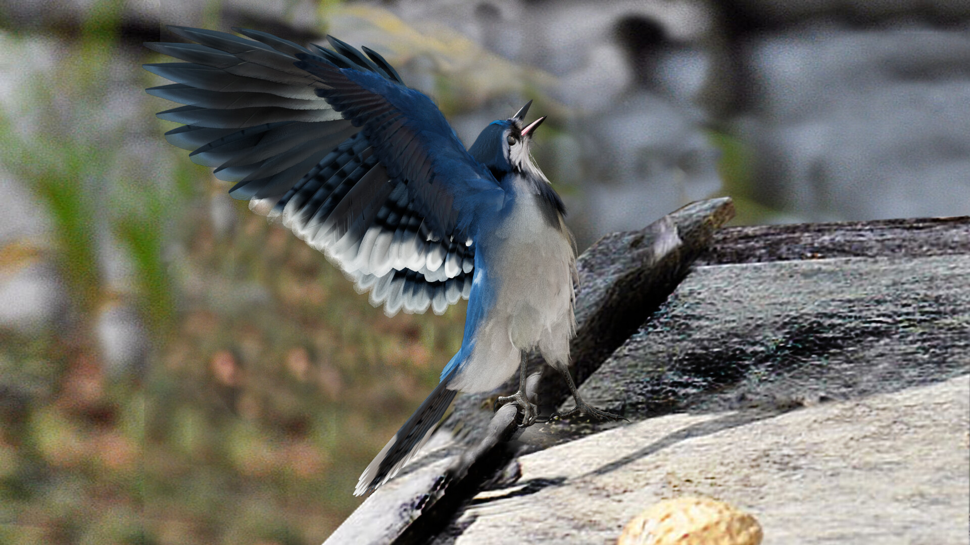 ArtStation - Yeti Feathers, Blue Jay bird