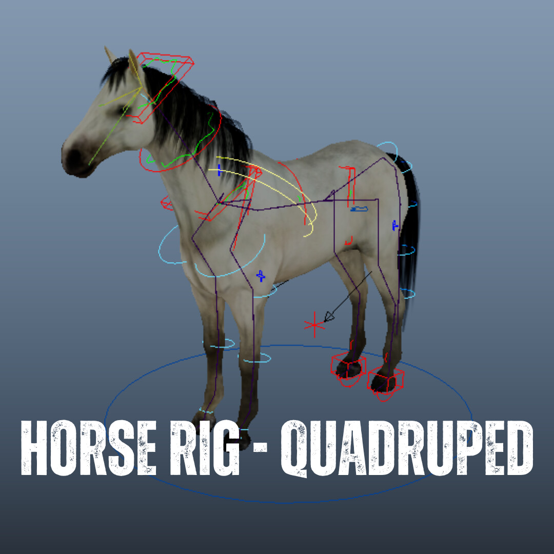 ArtStation - Horse Rig