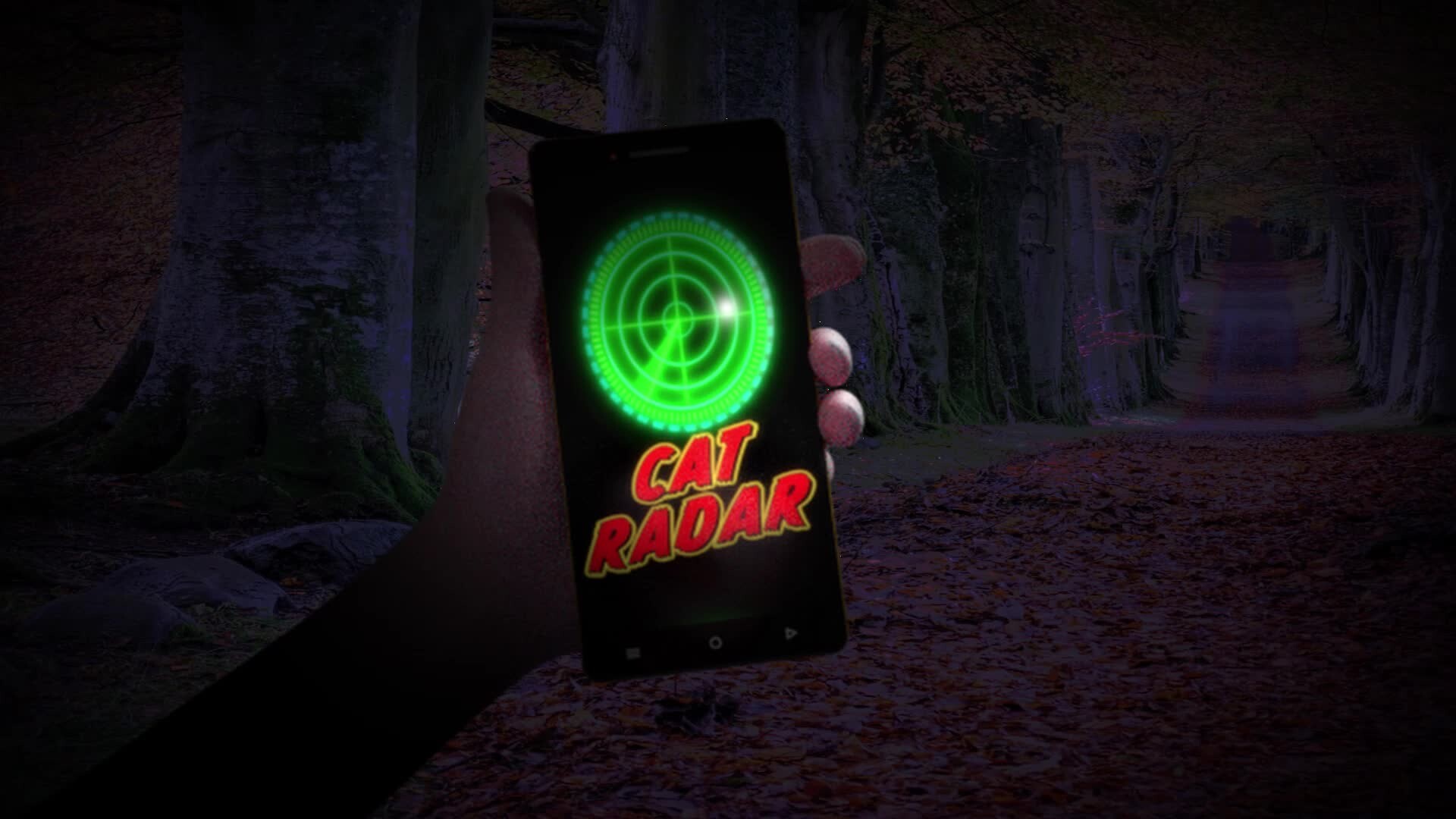 ArtStation - Cat radar or CADAR