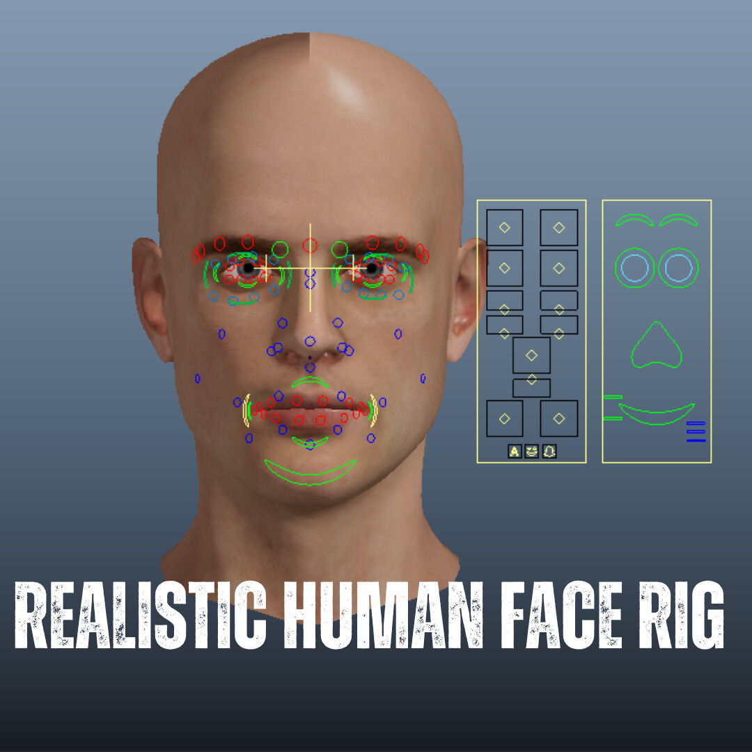 ArtStation - Realistic Human Face Rig