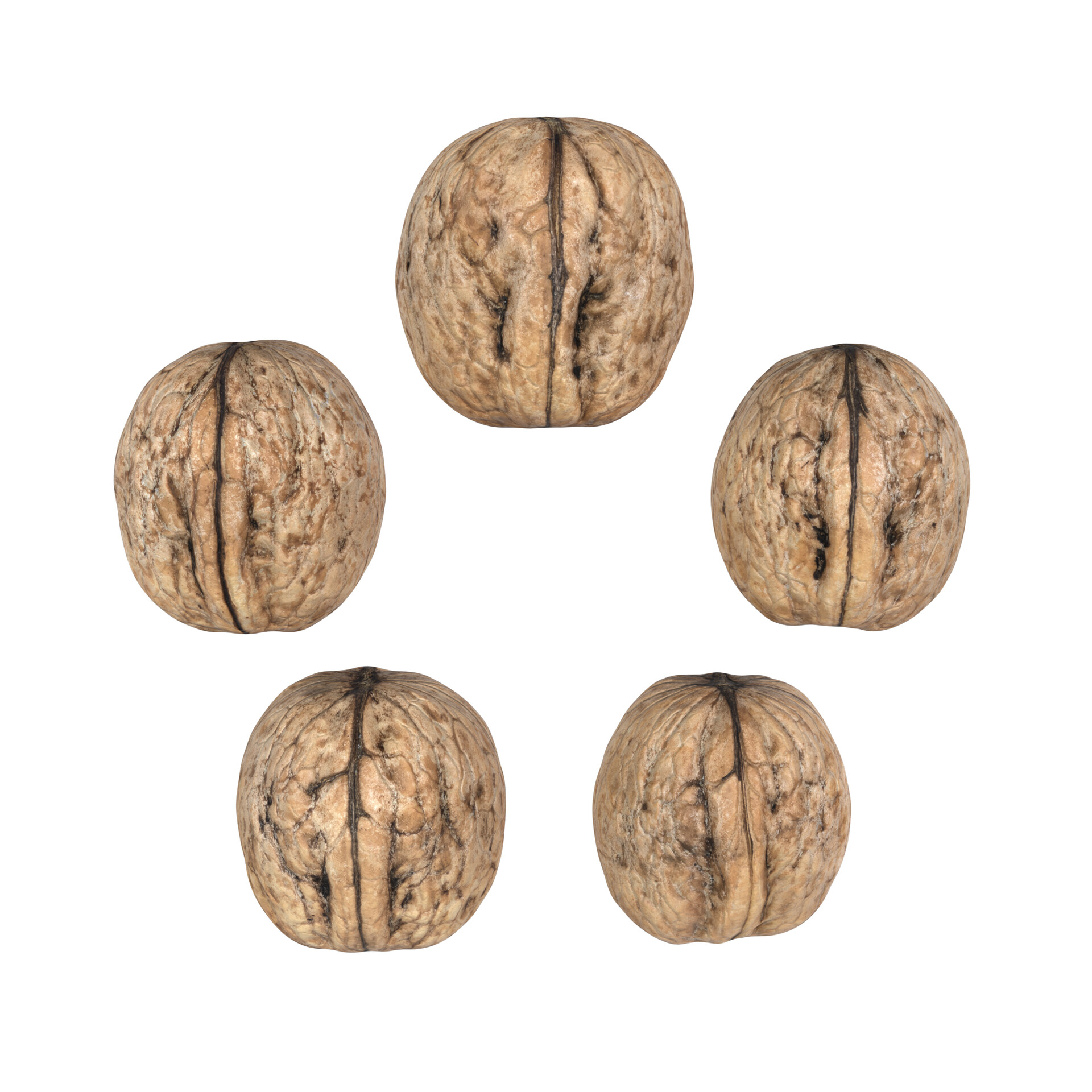 ArtStation - Walnuts