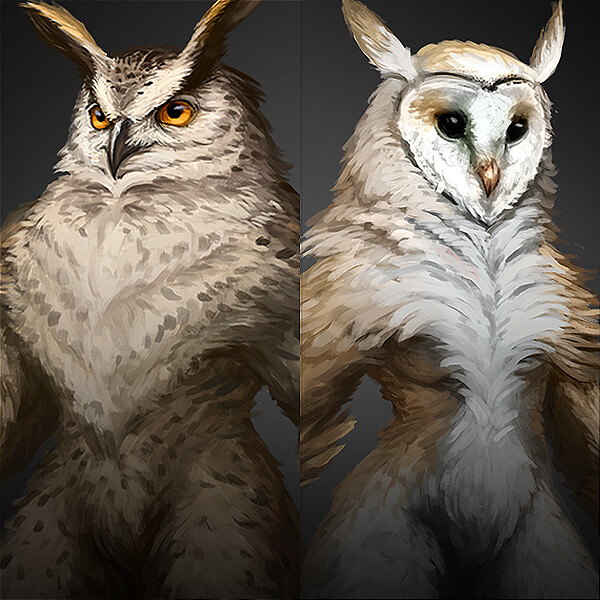 ArtStation - Owlin (D&D Fanart)
