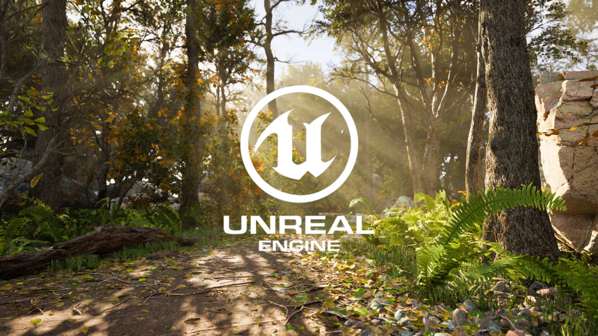 ArtStation - UE5 | Cinematic Forest