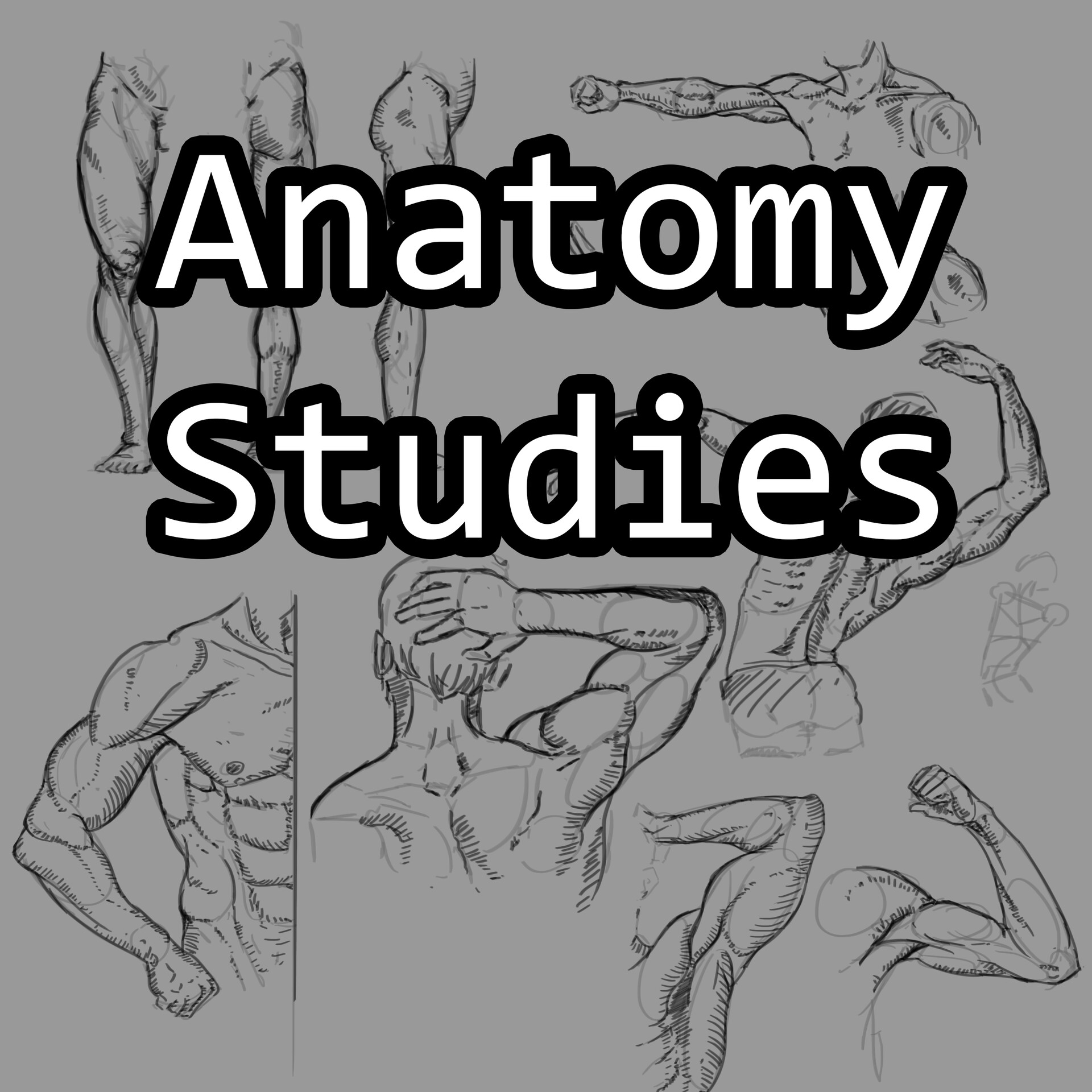 ArtStation - Anatomy Studies Wip