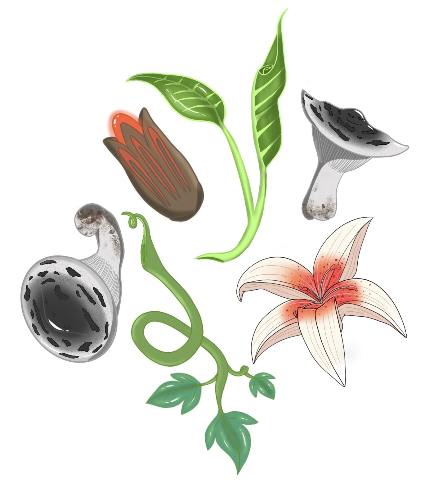 ArtStation - Dragon Age Flora & Fungi