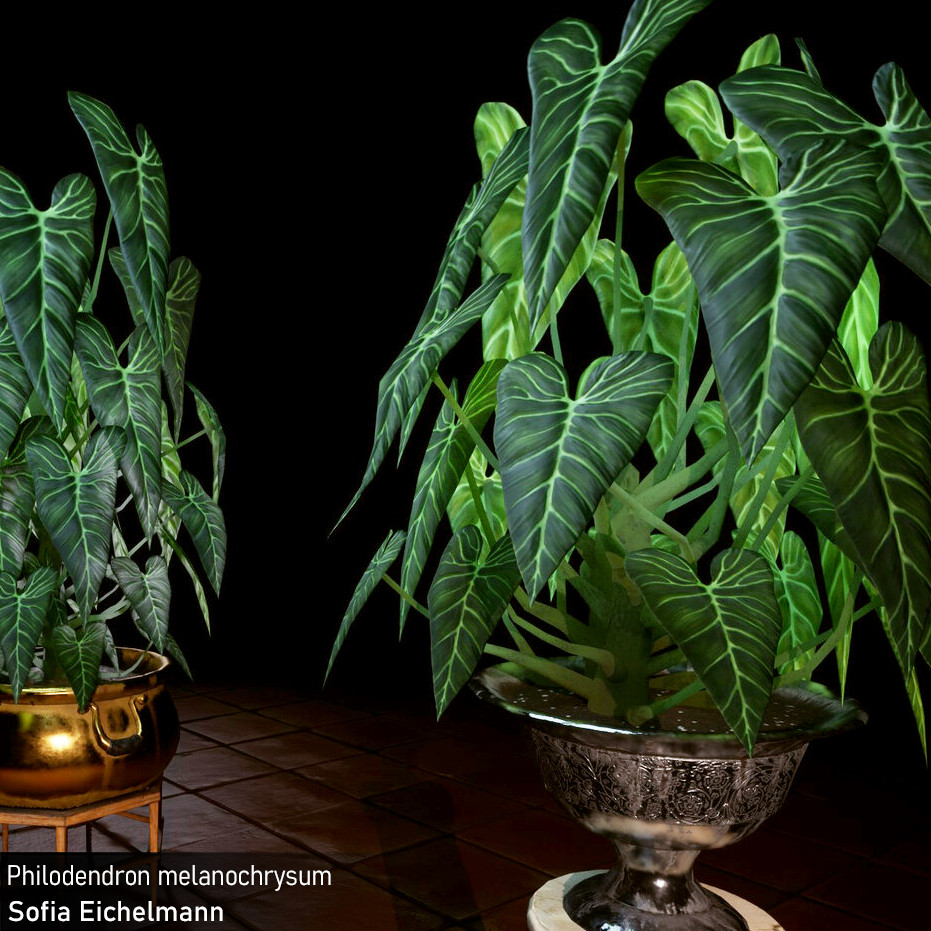 ArtStation - Potted Philodendron Foliage Plants