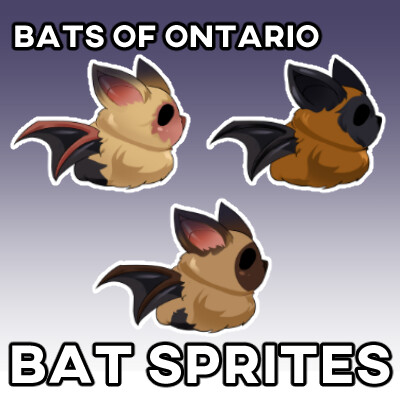 ArtStation - Bats of Ontario - Bat Assets