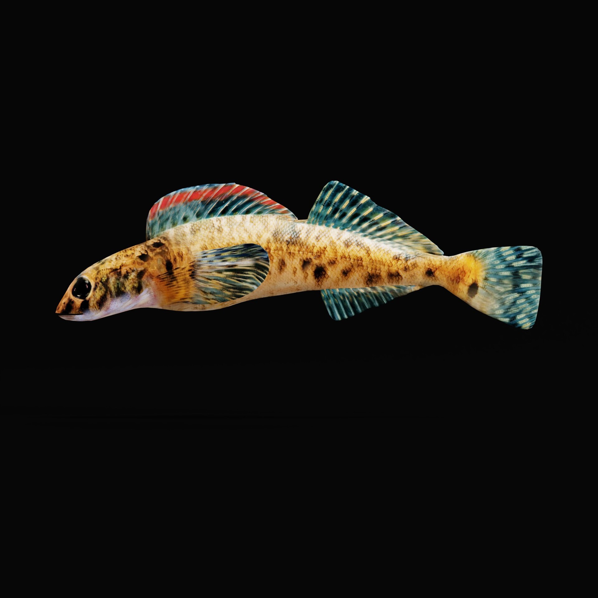 ArtStation - Roanoke logperch Fish (Endangered)