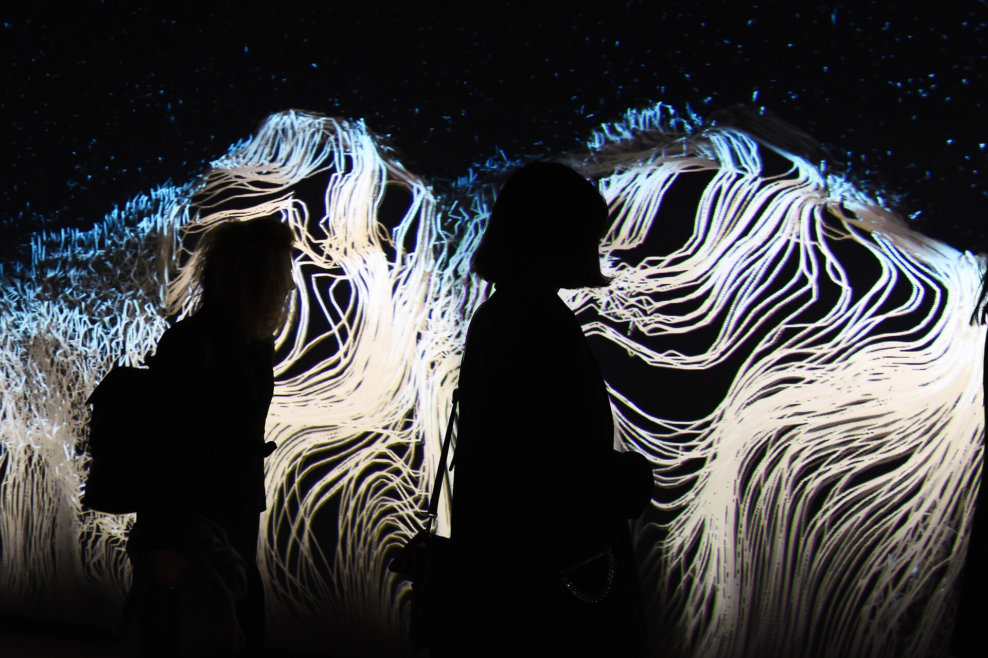 ArtStation - Woolmark Interactive Corridor